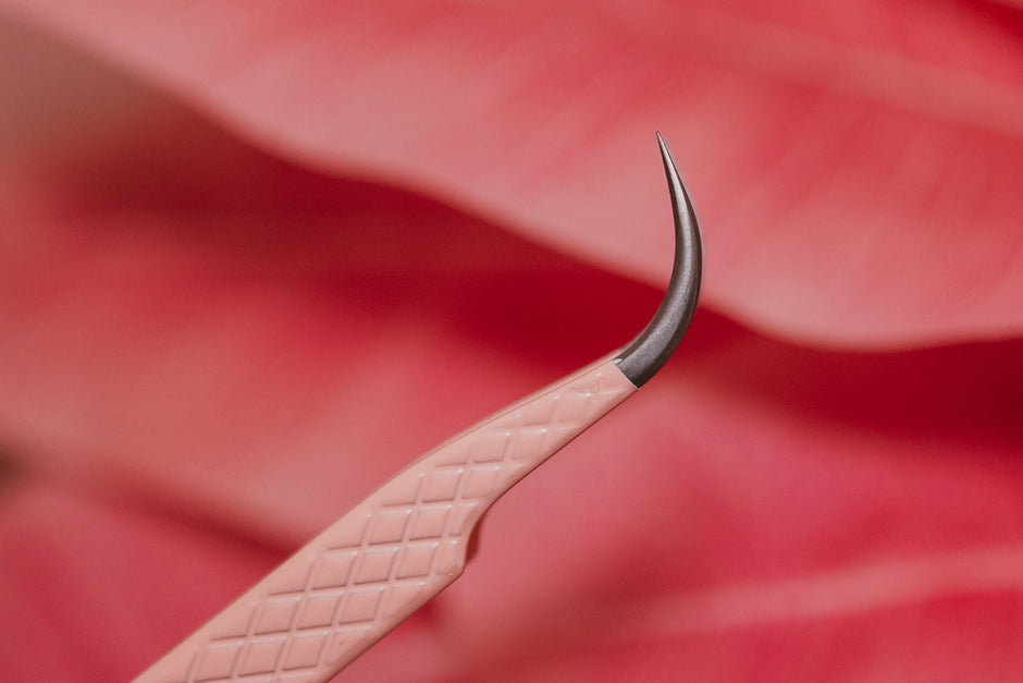 D'Lash Studio MKE – D’LASH STUDIO MKE